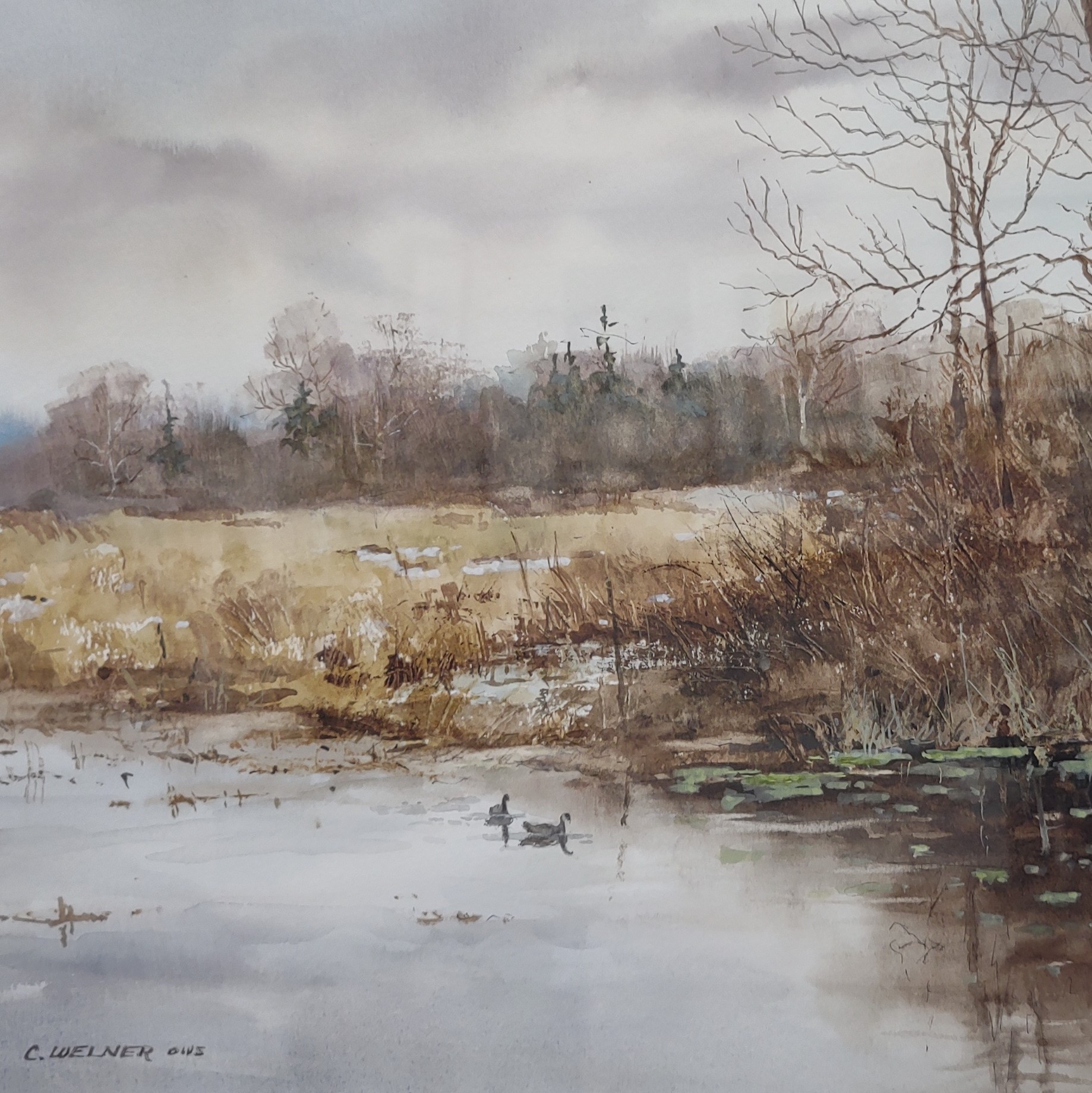 Floral & Landscape Exhibition | Cuyahoga Valley Art Center
