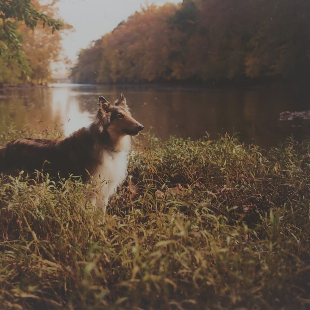 Fine Art Photography Exhibition *NEW | Cuyahoga Valley Art Center